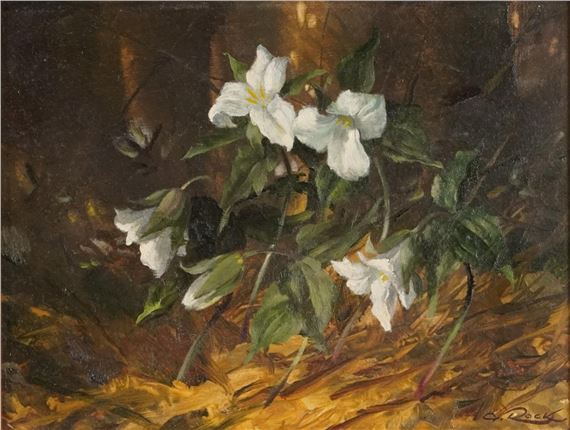 Geoffrey Allan Rock | Trilliums | MutualArt