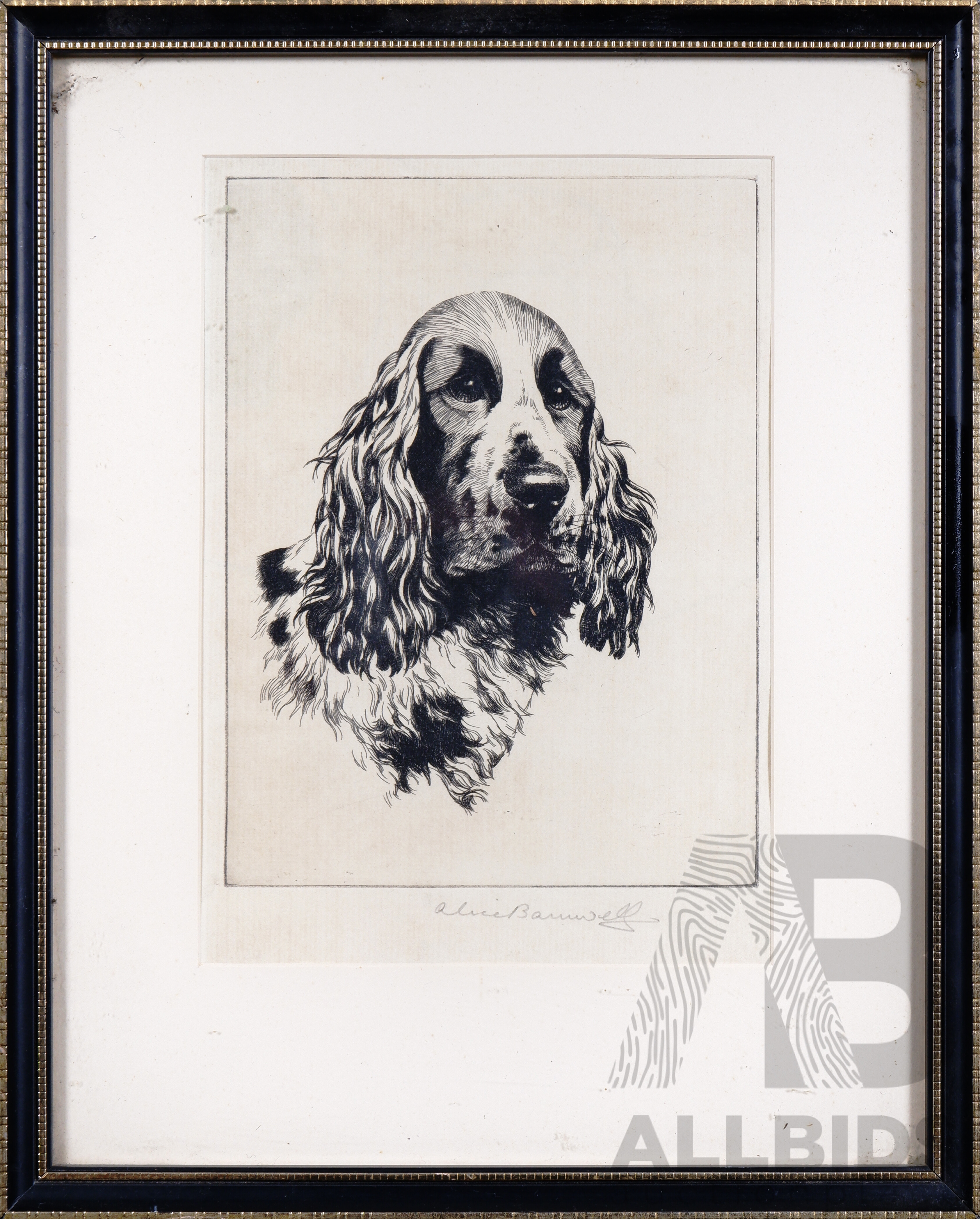 Alice Barnwell | Alice Barnwell (1910-1980, British), Head of a Spaniel ...
