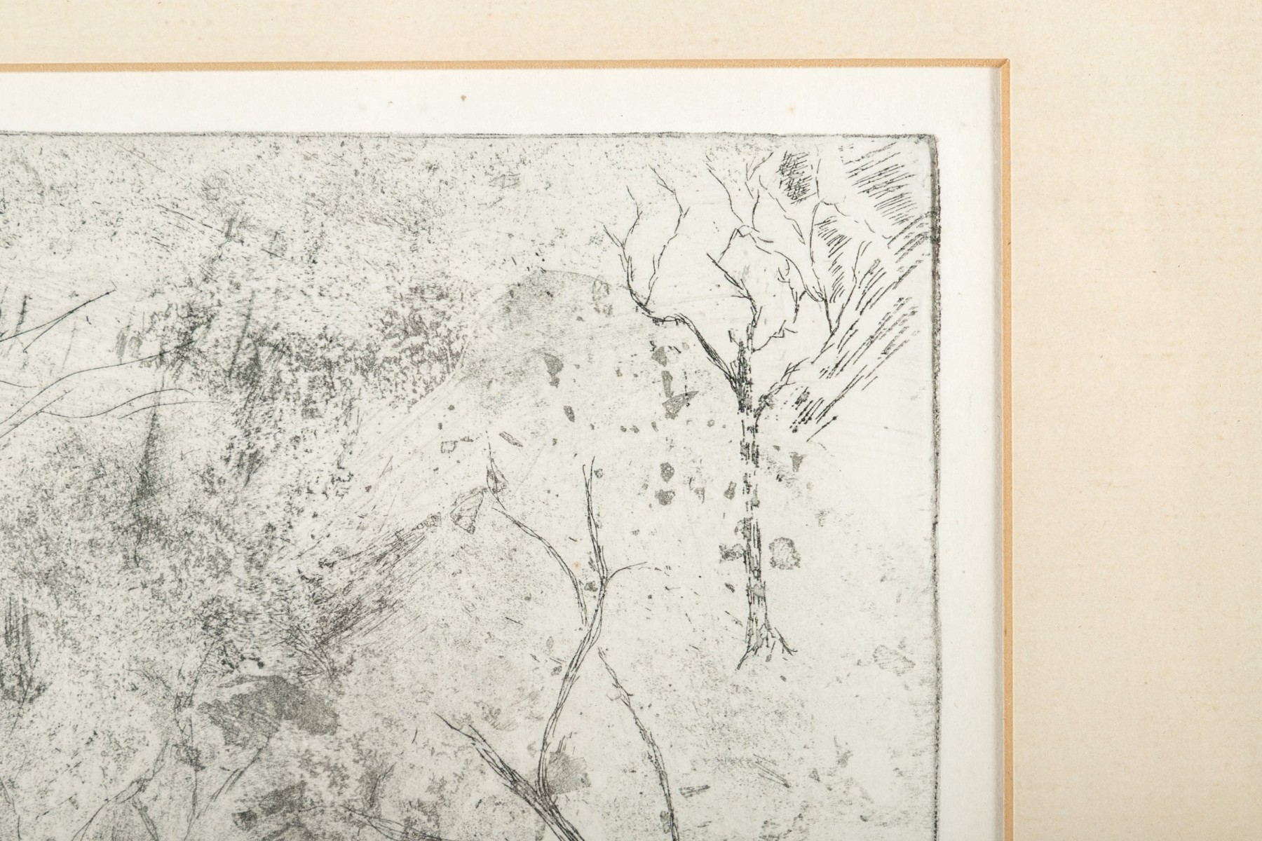 Roland Richardson | The Karee Tree | MutualArt