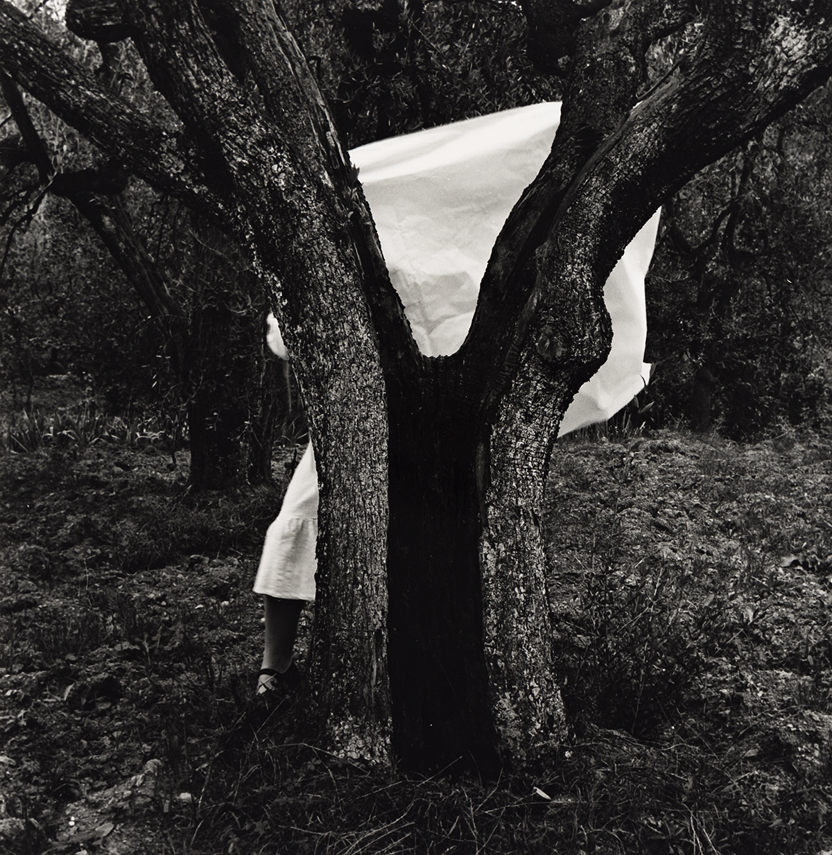 Francesca Woodman | Self-portrait behind tree, Antella, Italy. | MutualArt