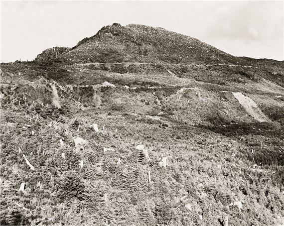 Robert Adams | Self-Portrait (1965) | MutualArt