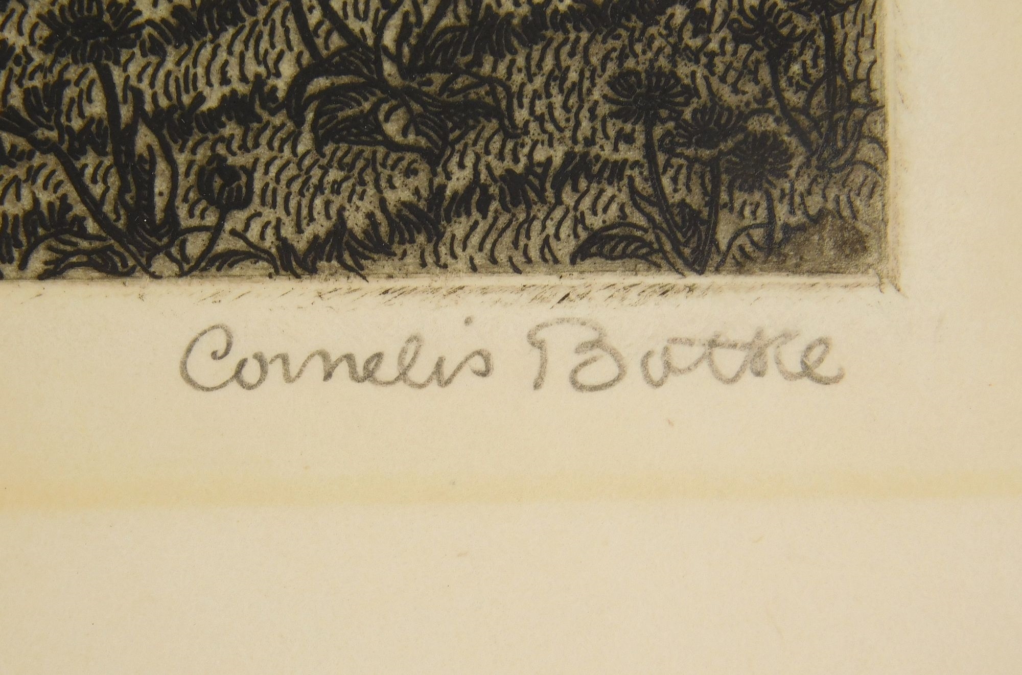 Cornelis Botke | Foam and Cyprus, Point Lobos | MutualArt