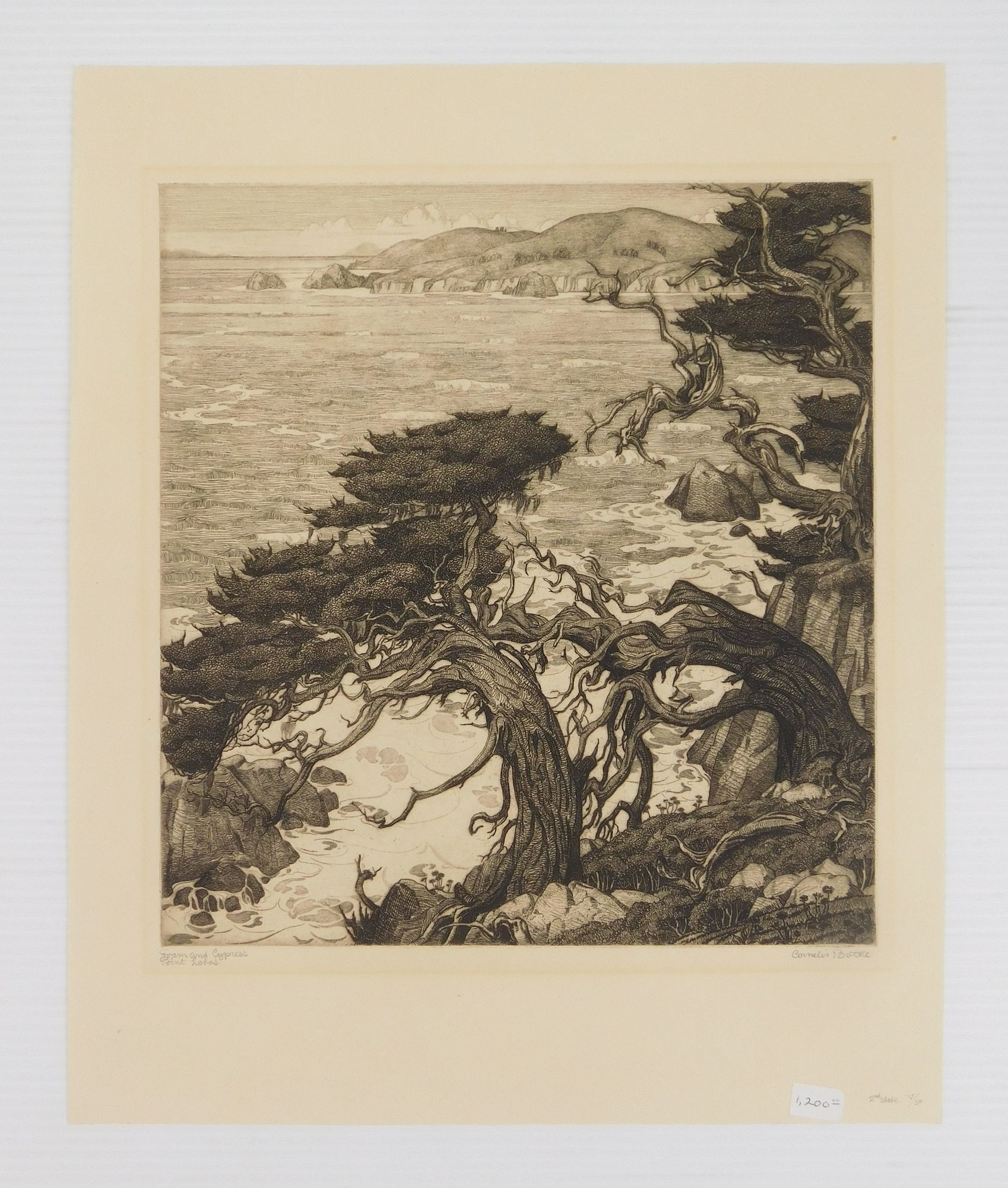Cornelis Botke | Foam and Cyprus, Point Lobos | MutualArt