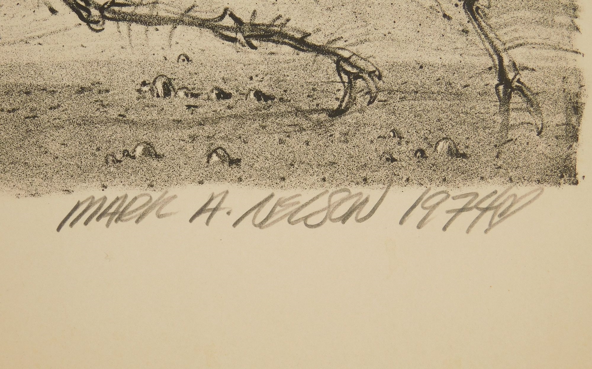 Mark A. Nelson | Pill Bug Variations II (1974) | MutualArt