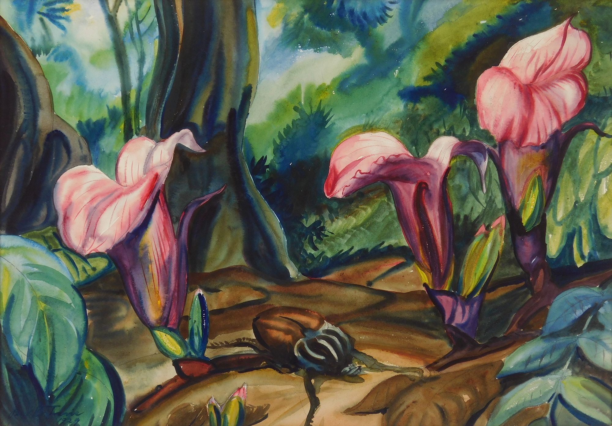 Paul Bough Travis | Orchids and Goliath Beetle (1929) | MutualArt