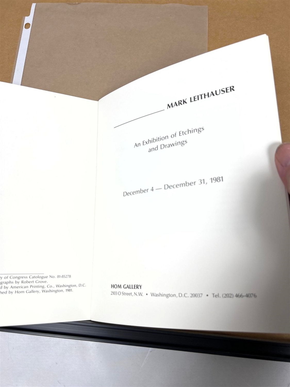 Mark Leithauser | Alternate Landscape (1983) | MutualArt