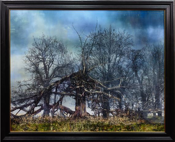 Jack Frame | DYING TREE, CHILSTON MANNER | MutualArt