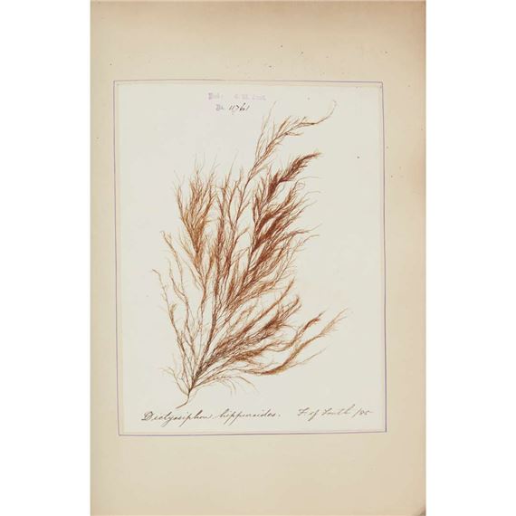 George William Traill | 1 Artworks at Auction | MutualArt