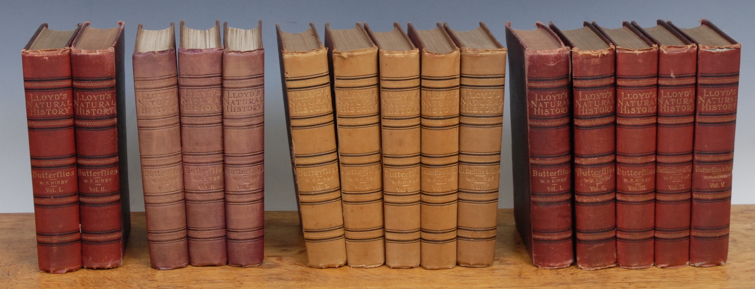 Edward Lloyd | Natural History, Lloyd’s Natural History – Kirby (1896 ...