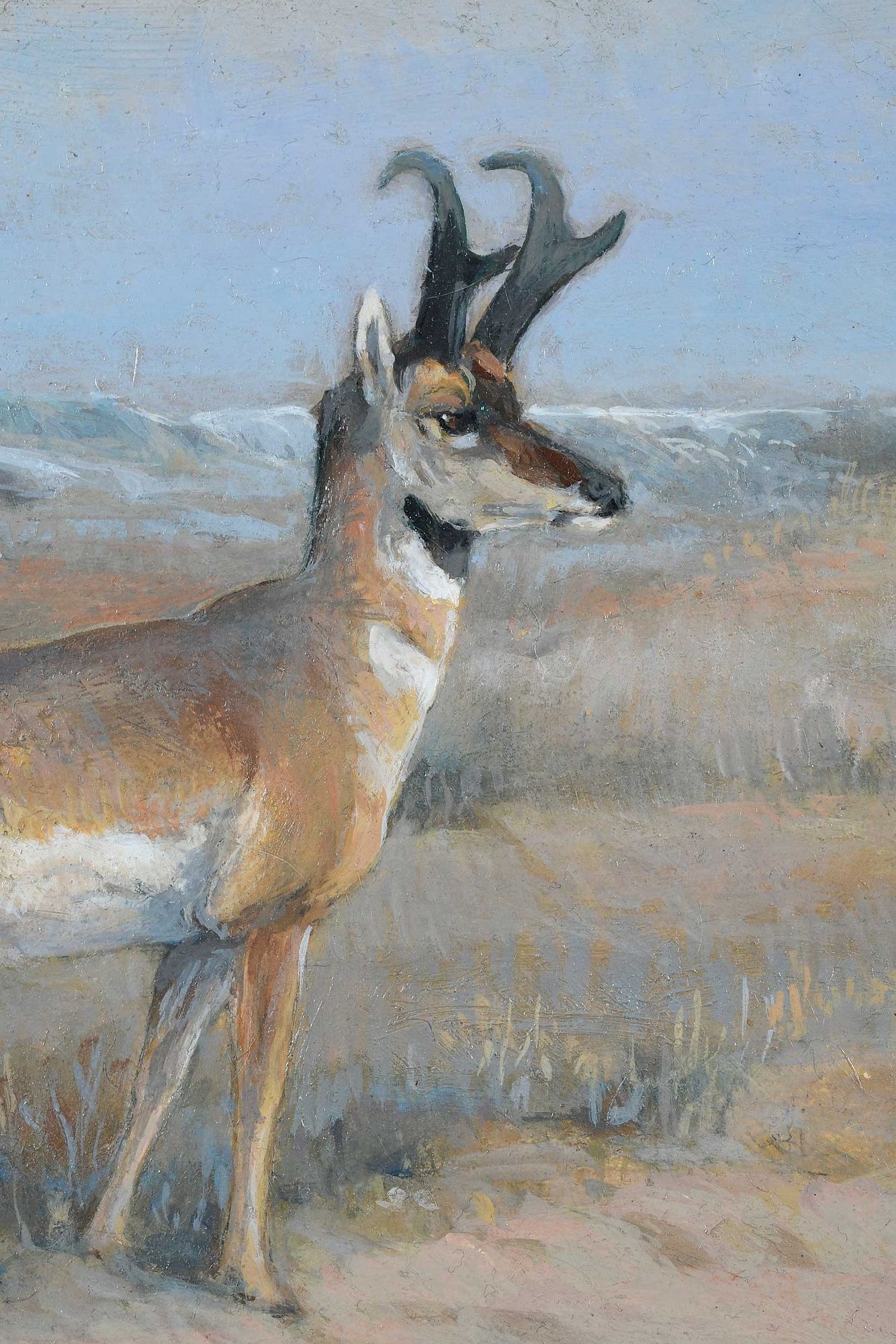 Tom Sander | Pronghorn | MutualArt