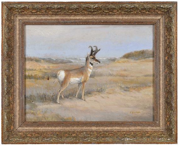 Tom Sander | Pronghorn | MutualArt