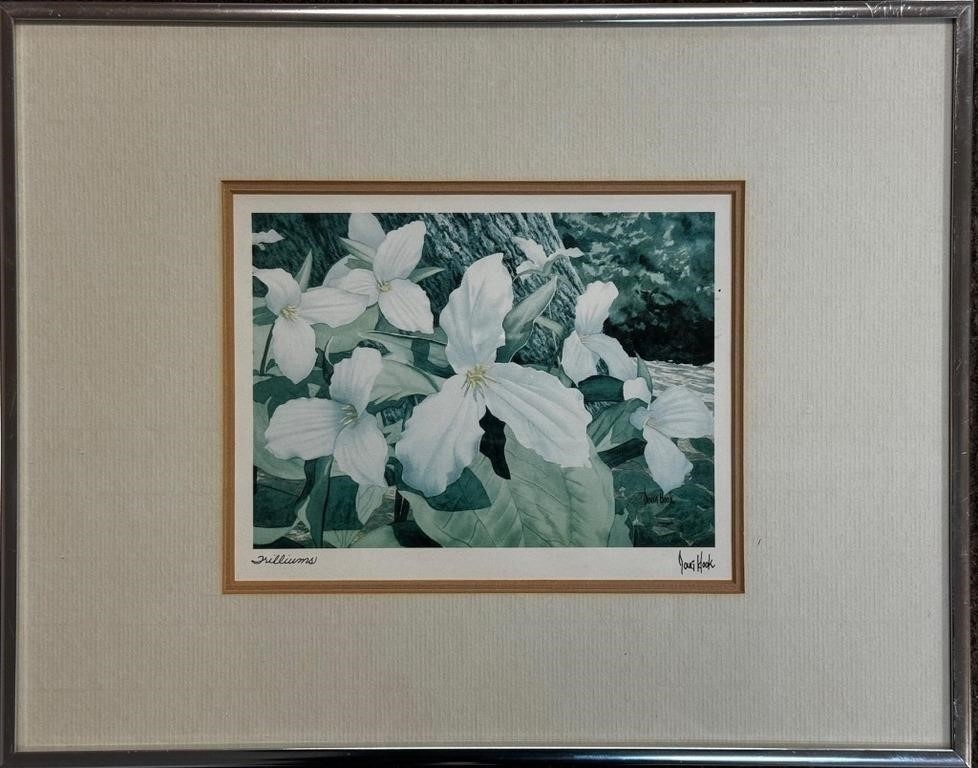 Doug Hook | TRILLIUMS | MutualArt