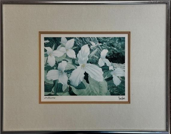 Doug Hook | TRILLIUMS | MutualArt