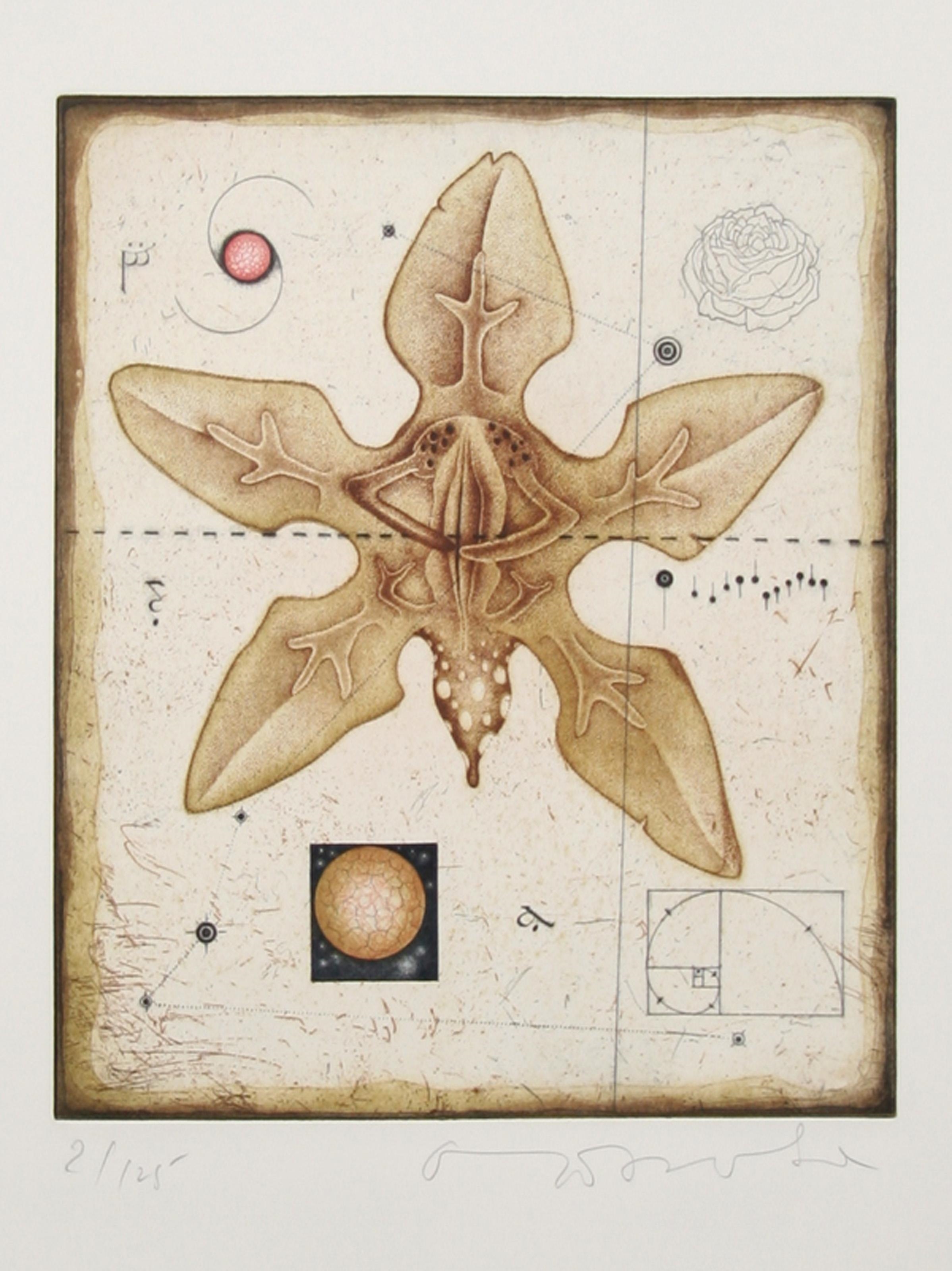 Tighe O'Donoghue/Ross | Flower (Circa 1985) | MutualArt