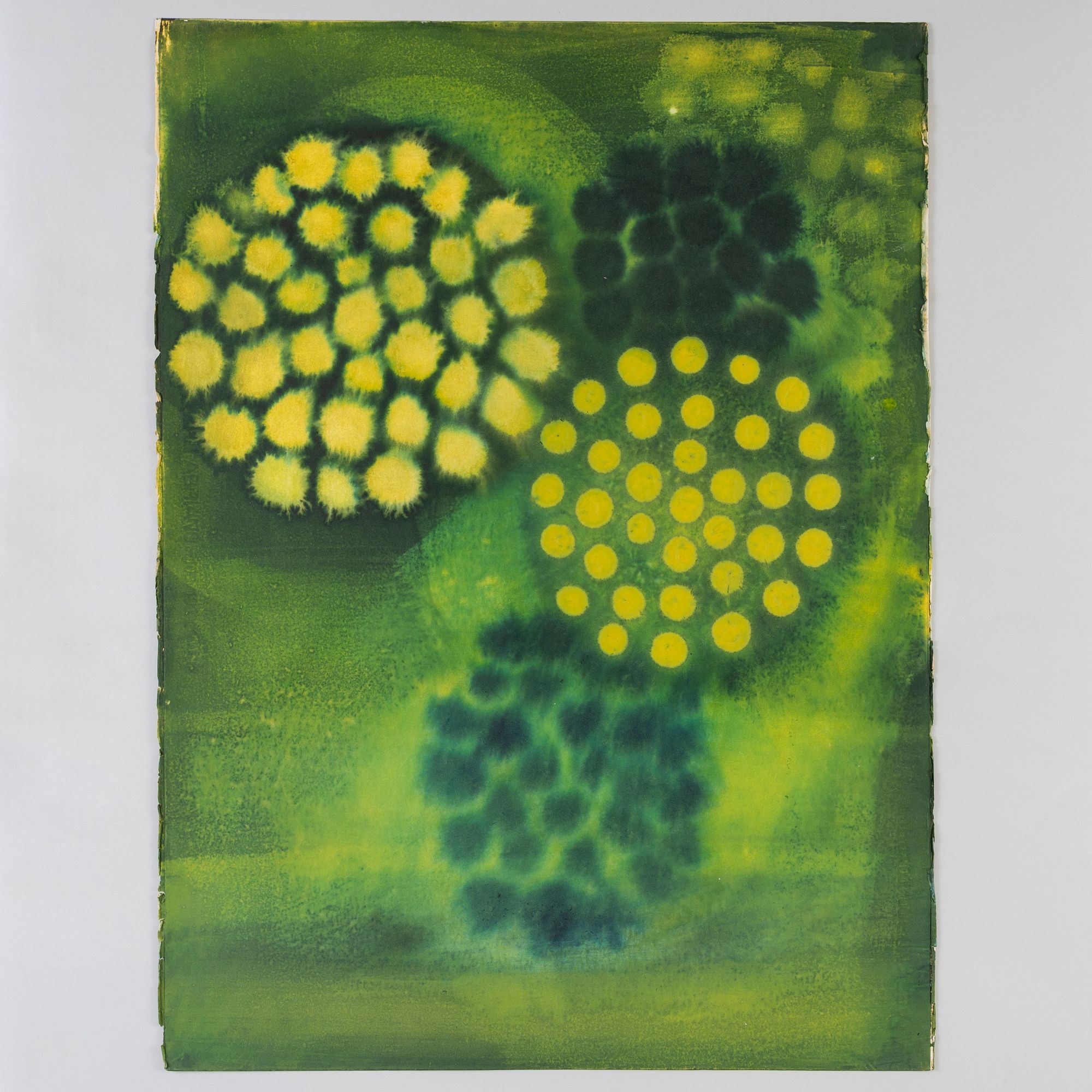 Ross Bleckner | Flower Painting | MutualArt