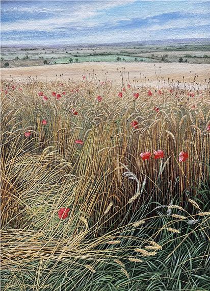Neil Spilman | Poppy Field (2003) | MutualArt
