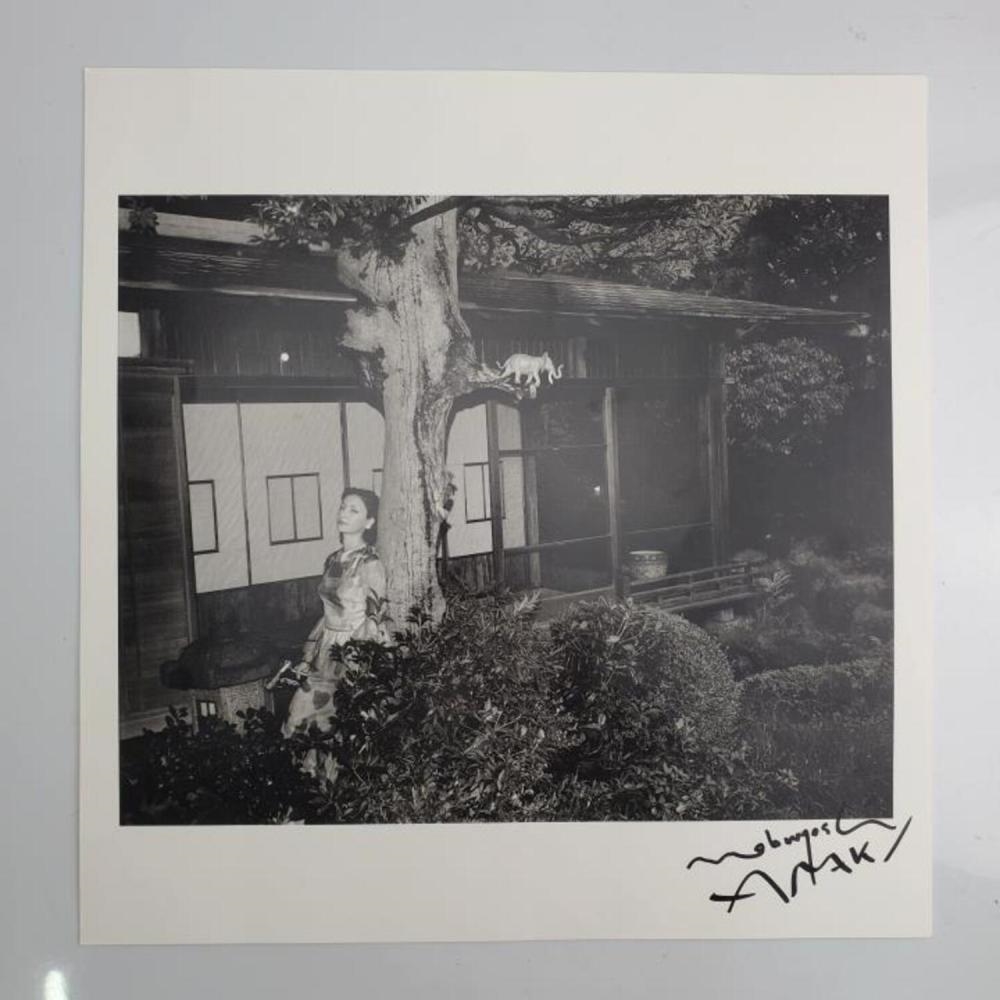 Nobuyoshi Araki | Attributed to Nobuyoshi Araki | MutualArt