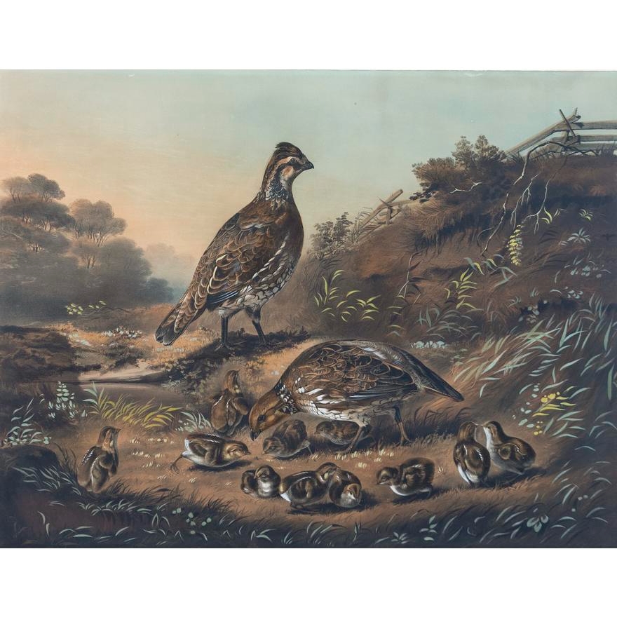 Arthur Fitzwilliam Tait | The Last Shot | MutualArt
