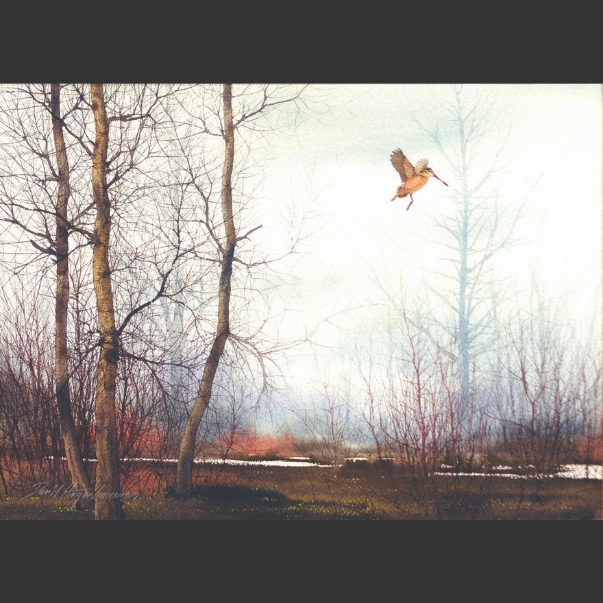 David Hagerbaumer | WOODCOCK | MutualArt