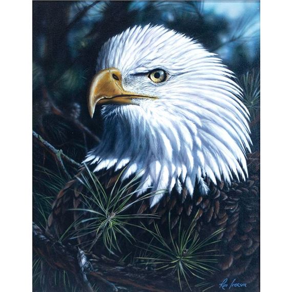 Ron Iverson | BALD EAGLE PORTRAIT | MutualArt