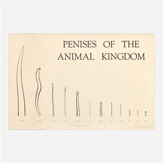Jim Knowlton | Penises of the Animal Kingdom” (1985) | MutualArt
