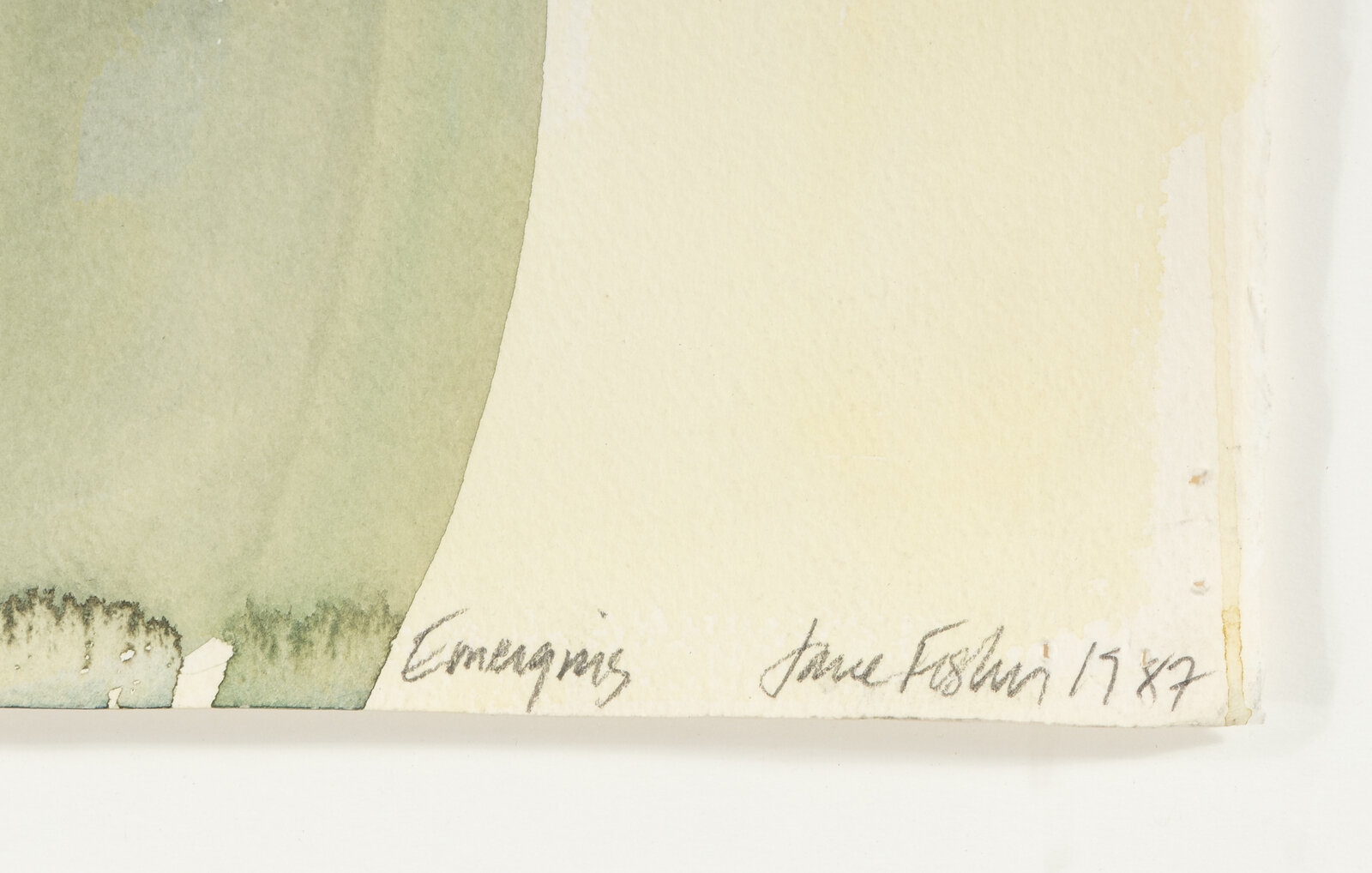 Jane Fisher | Emerging (1987) | MutualArt