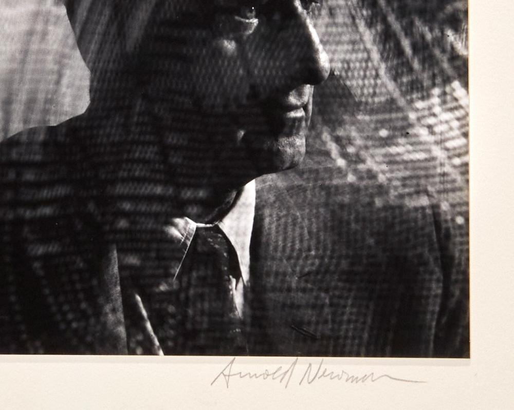 Arnold Newman | Portrait of Howard Wise | MutualArt