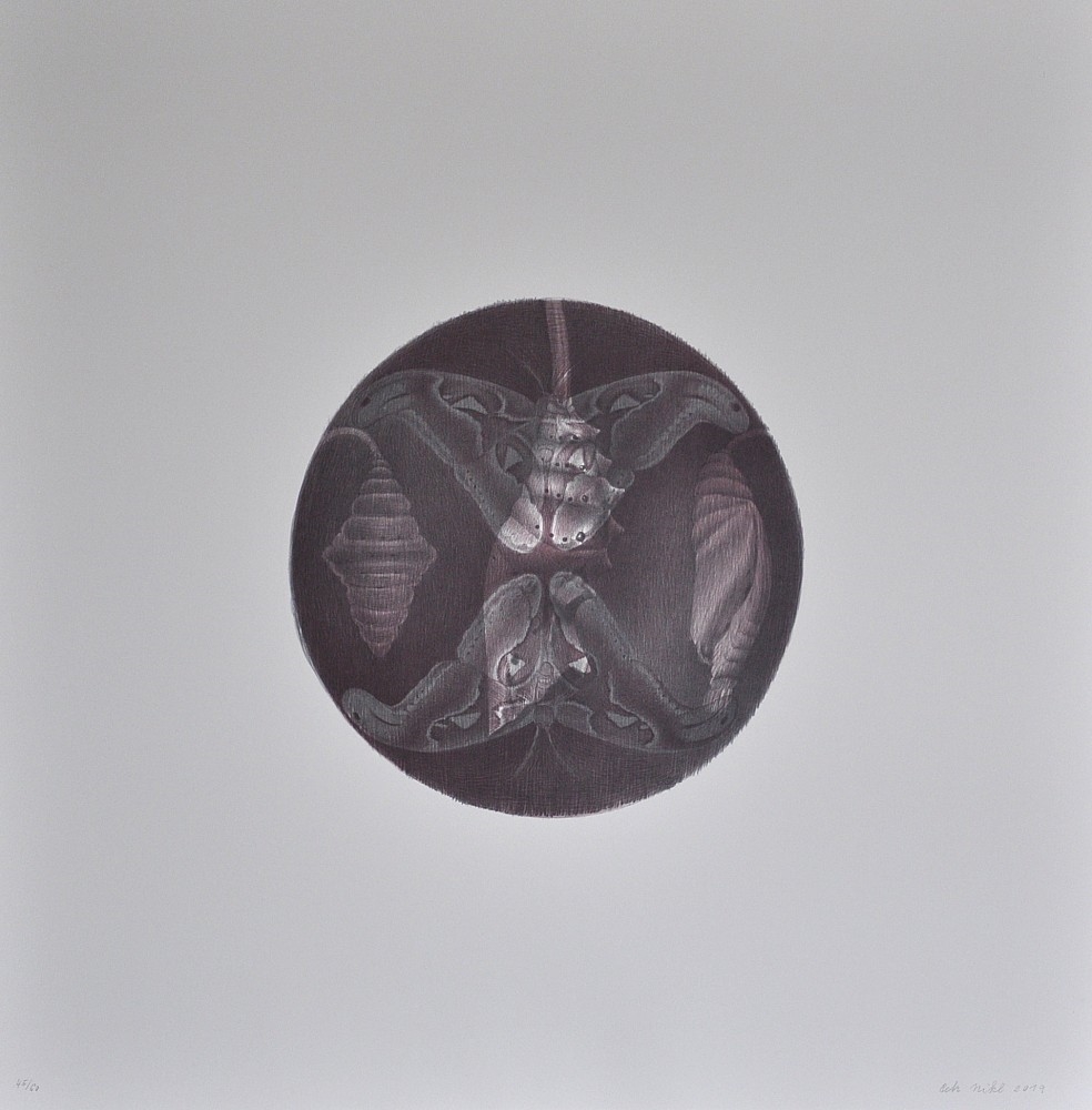 Petr Nikl | Atlas velký: Hadí motýl III (2019) | MutualArt