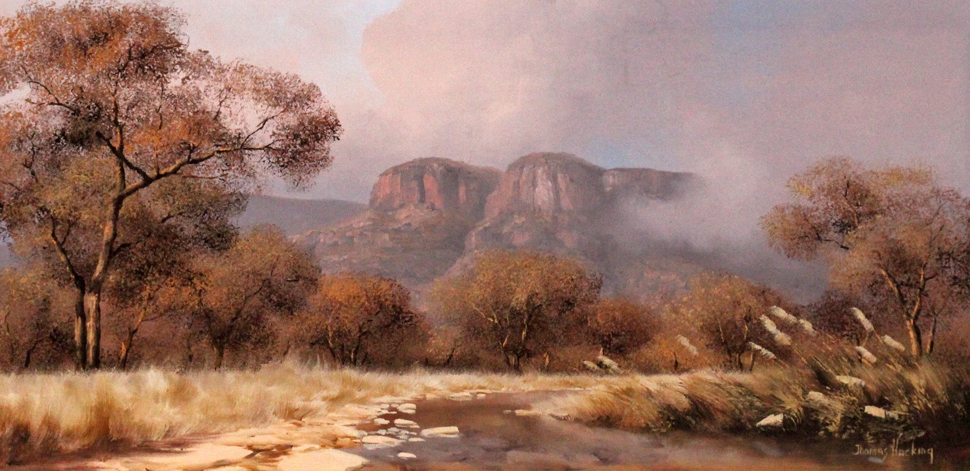 Thomas Hacking | BUSHVELD SCENE | MutualArt