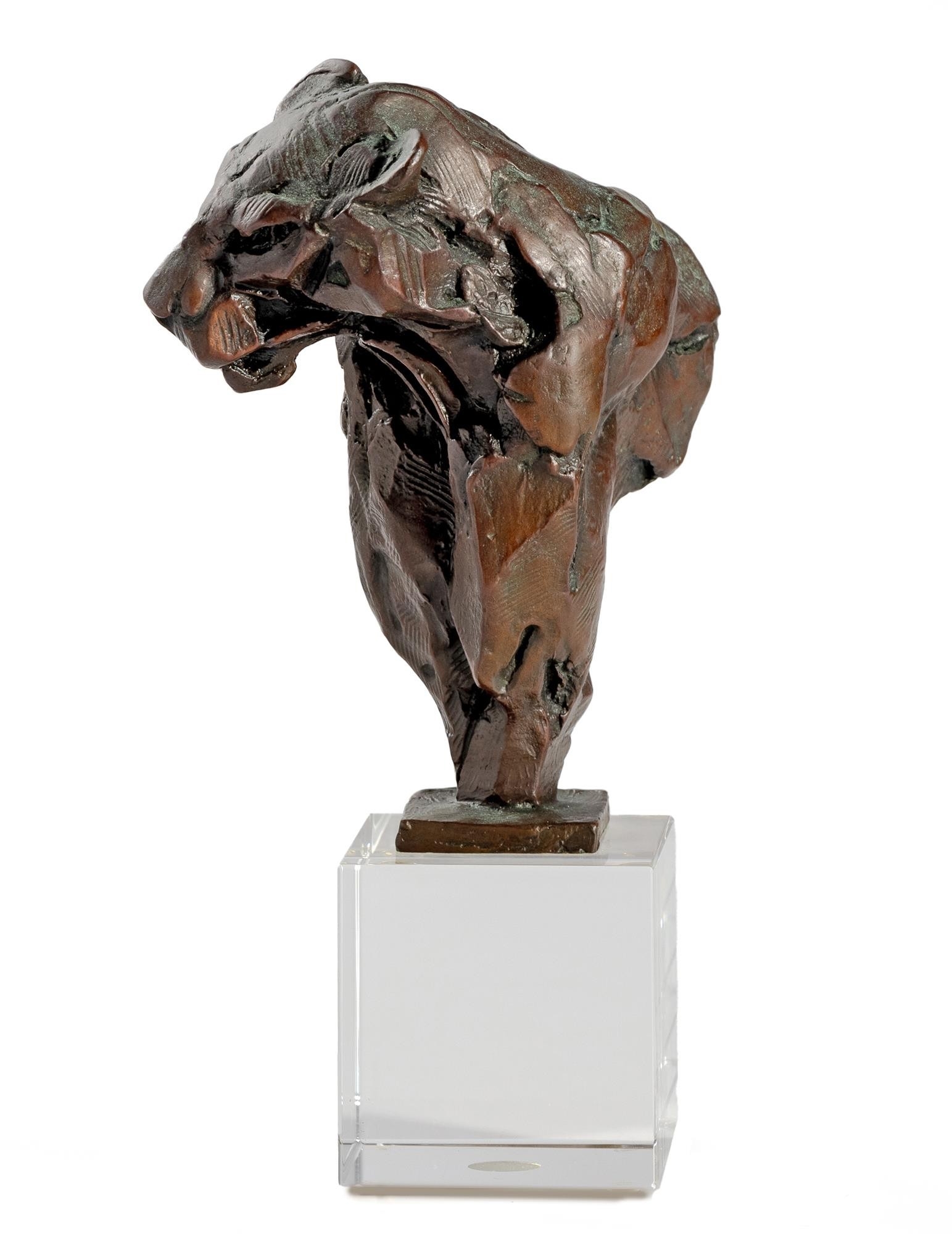 Dylan Lewis | LEOPARD BUST VIII MAQUETTE | MutualArt