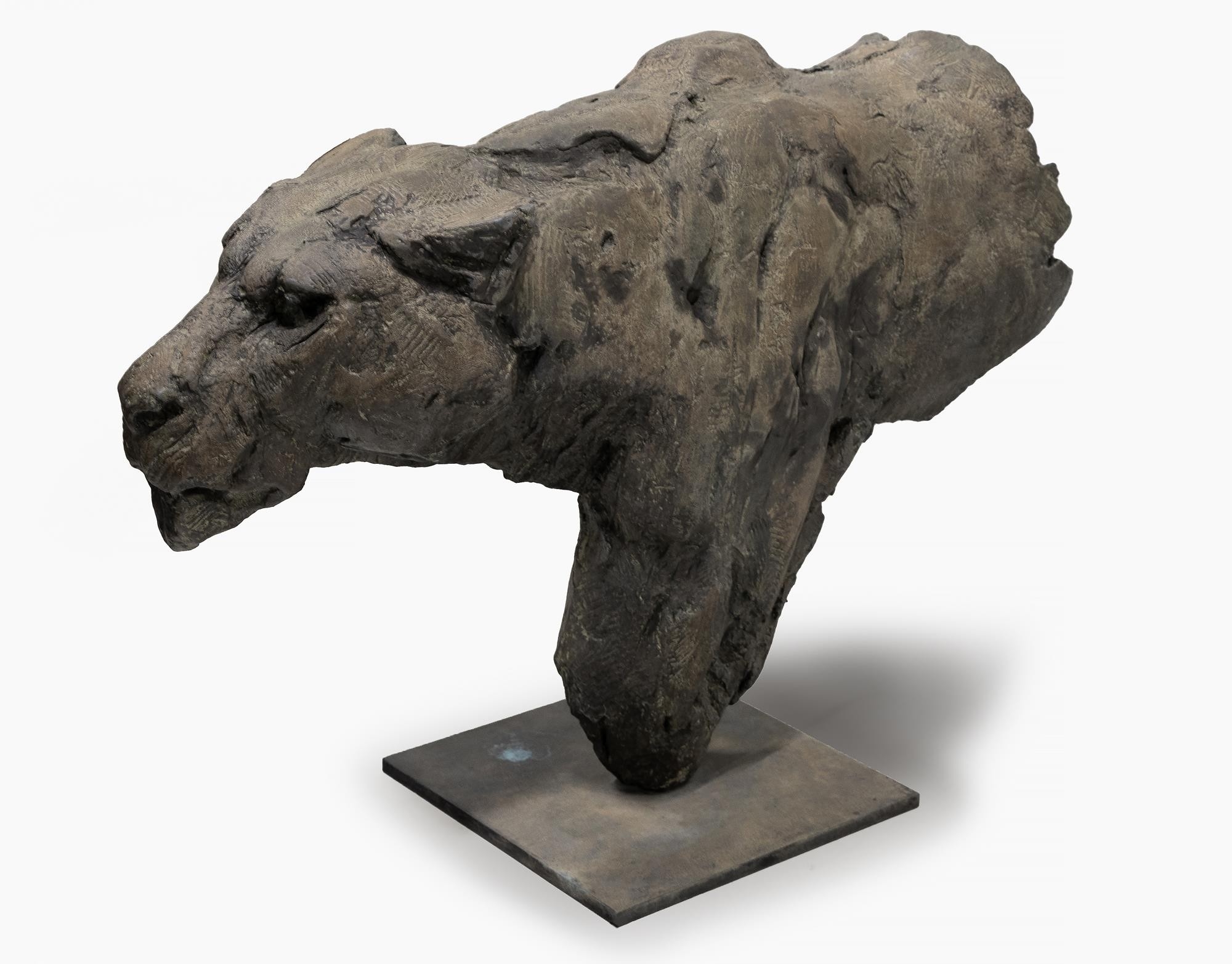 Dylan Lewis | LIONESS BUST | MutualArt