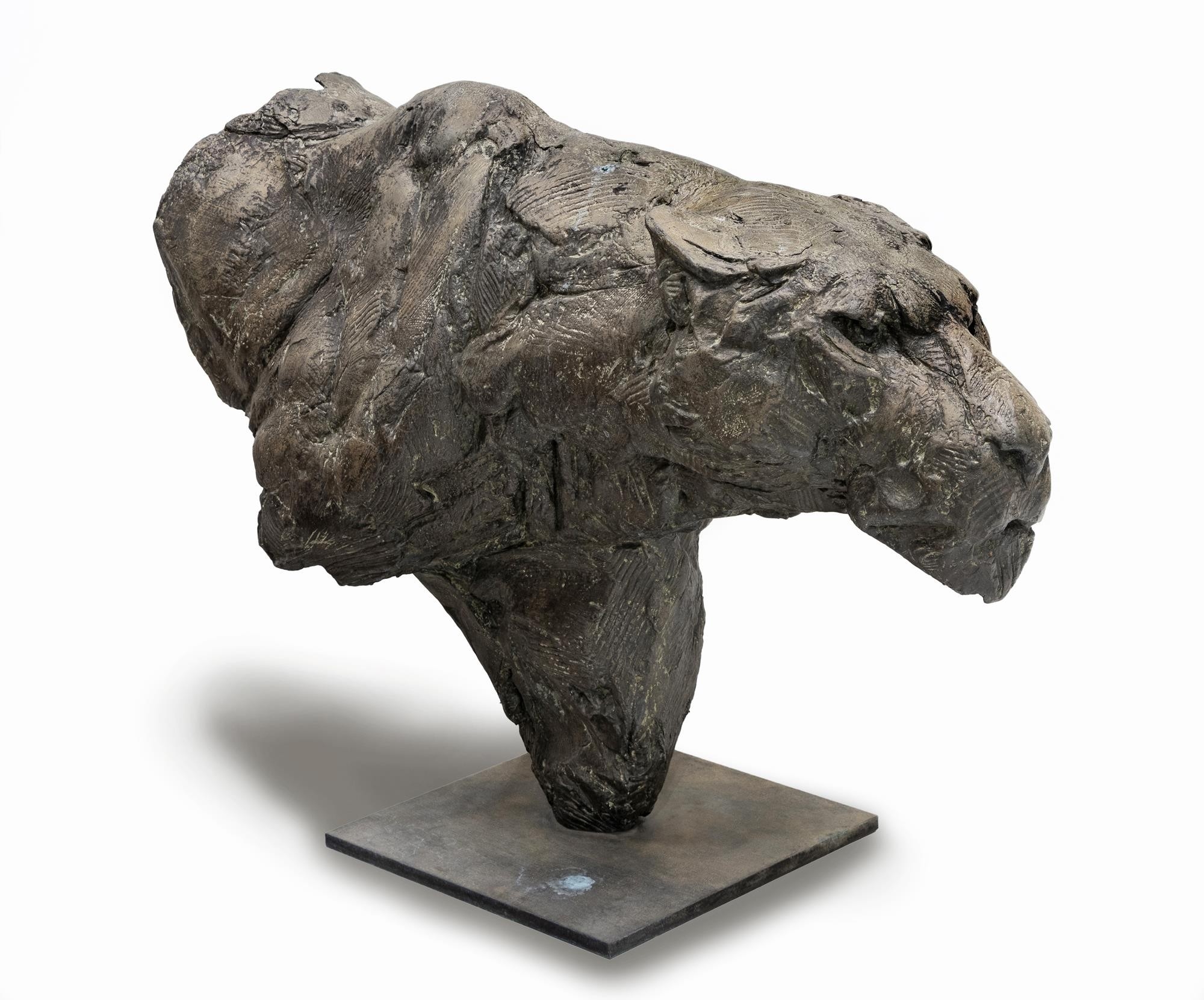 Dylan Lewis | LIONESS BUST | MutualArt