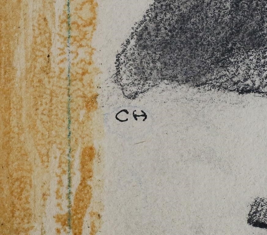 Charles Hargens | Charles Hargens Illustration Nerve of Some Animals ...