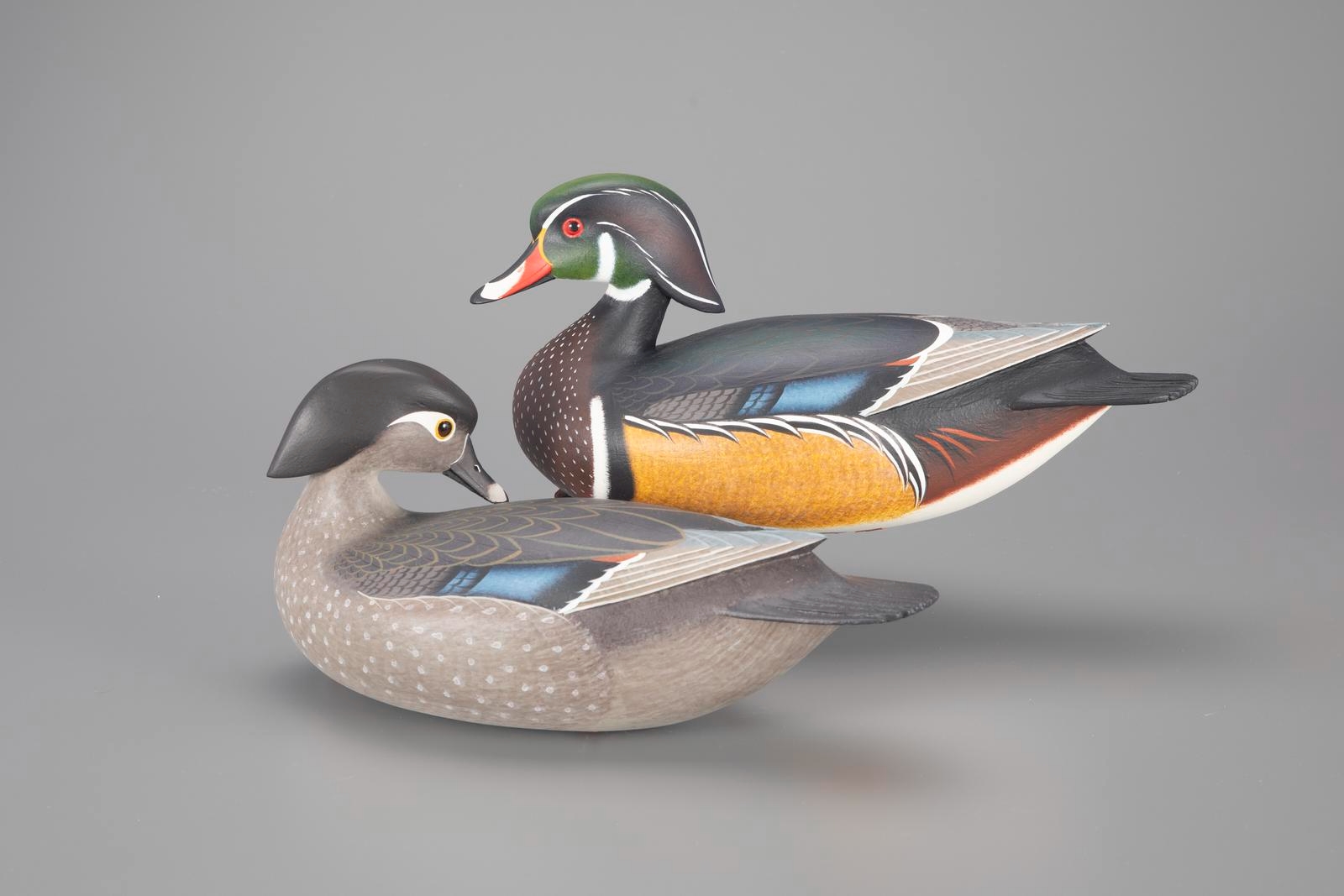 Frederick Brown | WOOD DUCK (2022) | MutualArt
