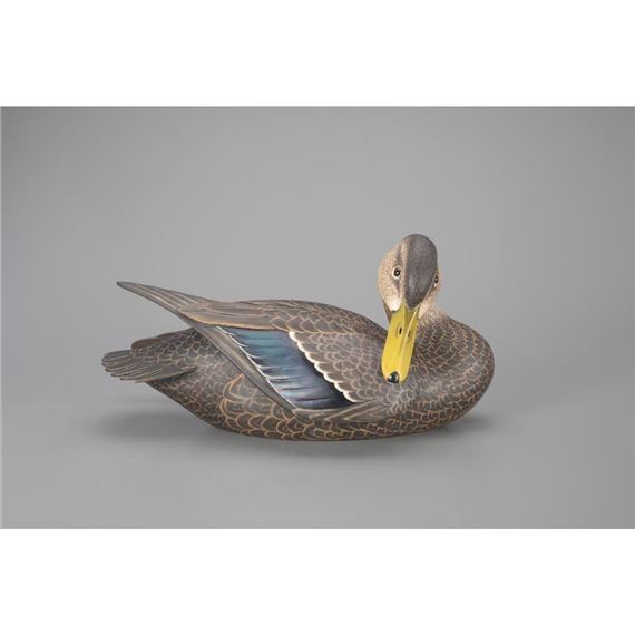 Oliver Lawson | OUTSTANDING PREENING BLACK DUCK (1965) | MutualArt