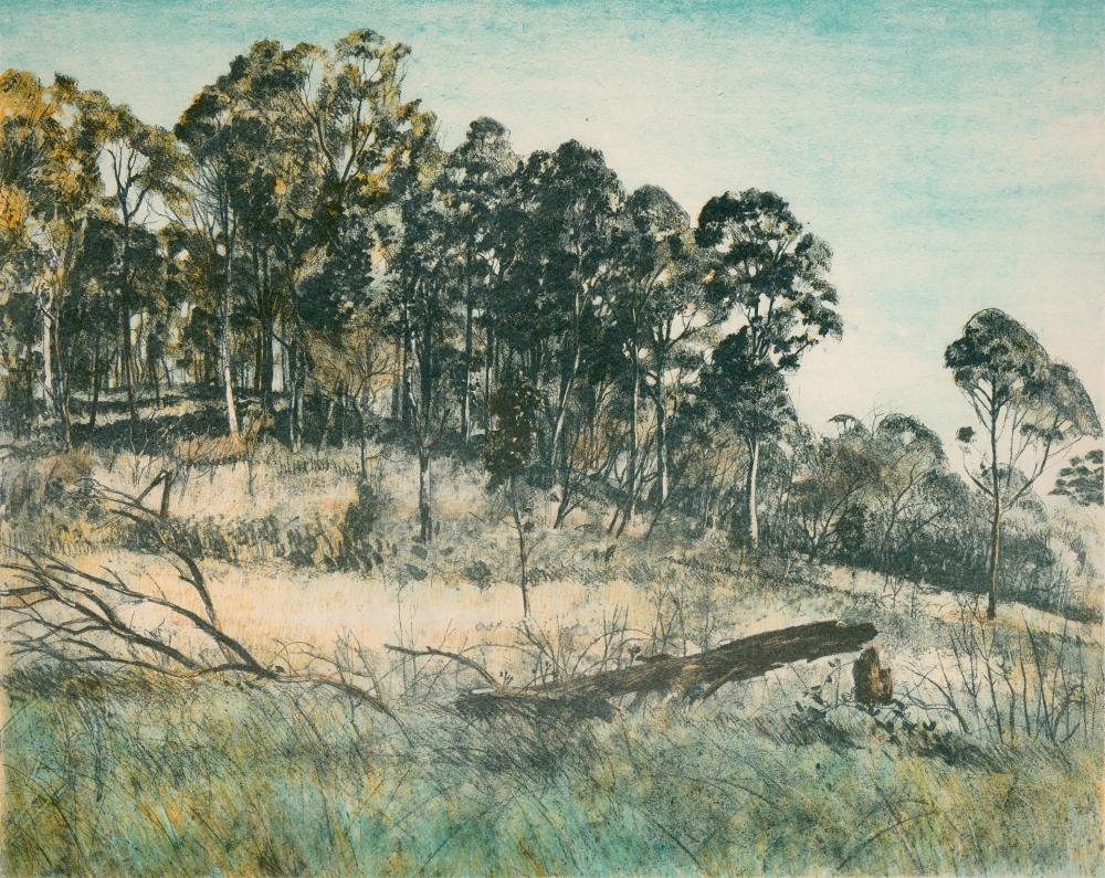 Brian Dunlop | Landscape, 1981 (1981) | MutualArt