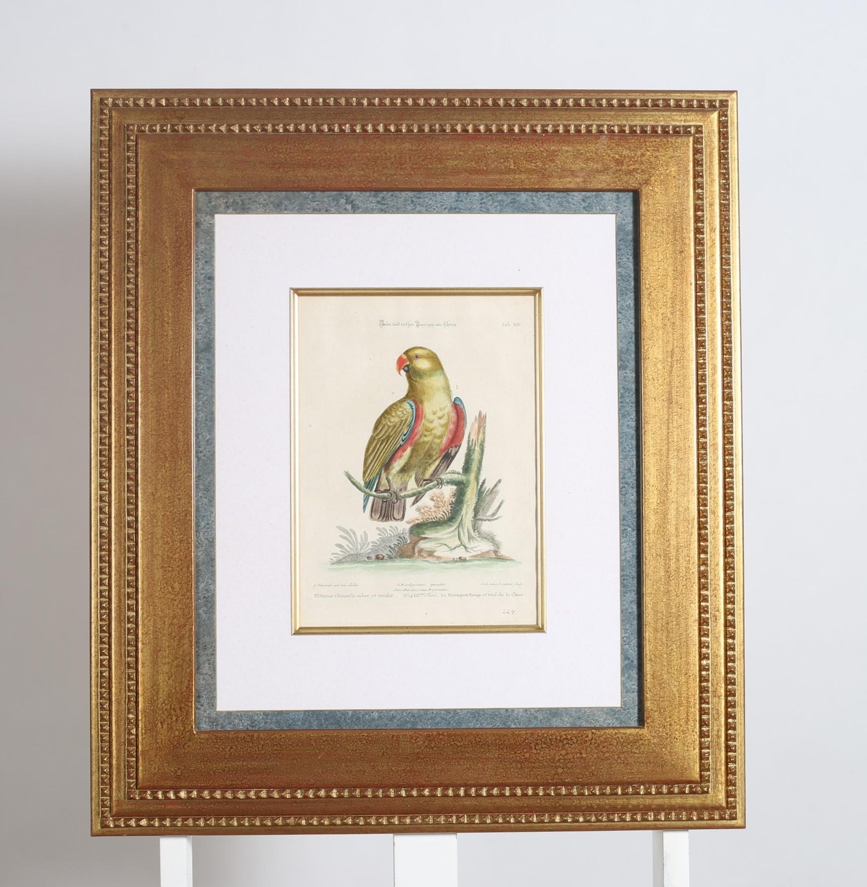 George Edwards | SIX COLOURED PRINTS OF PARROTS | MutualArt