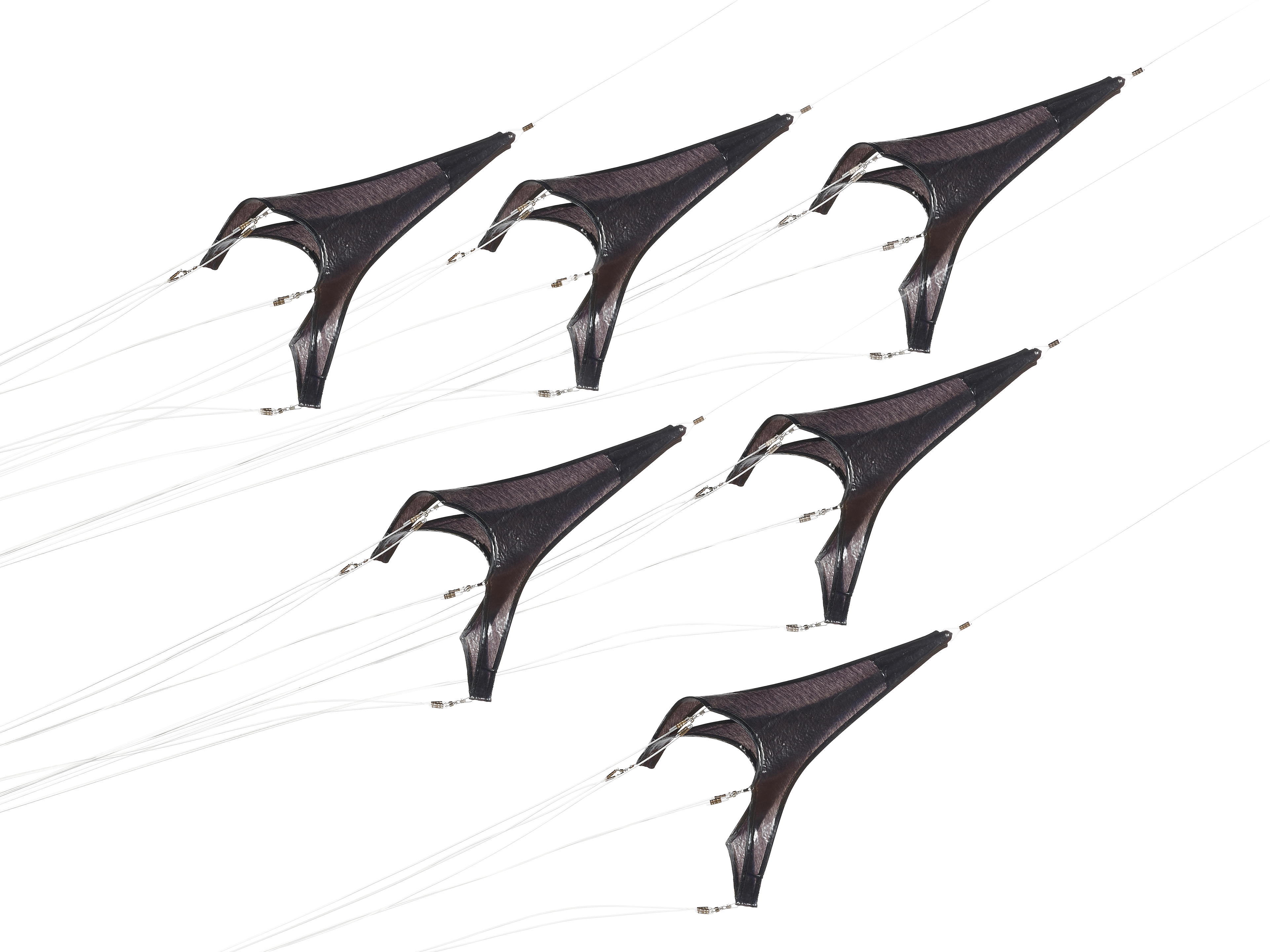 E.V. Day | G-Force over Texas2004 (2004) | MutualArt