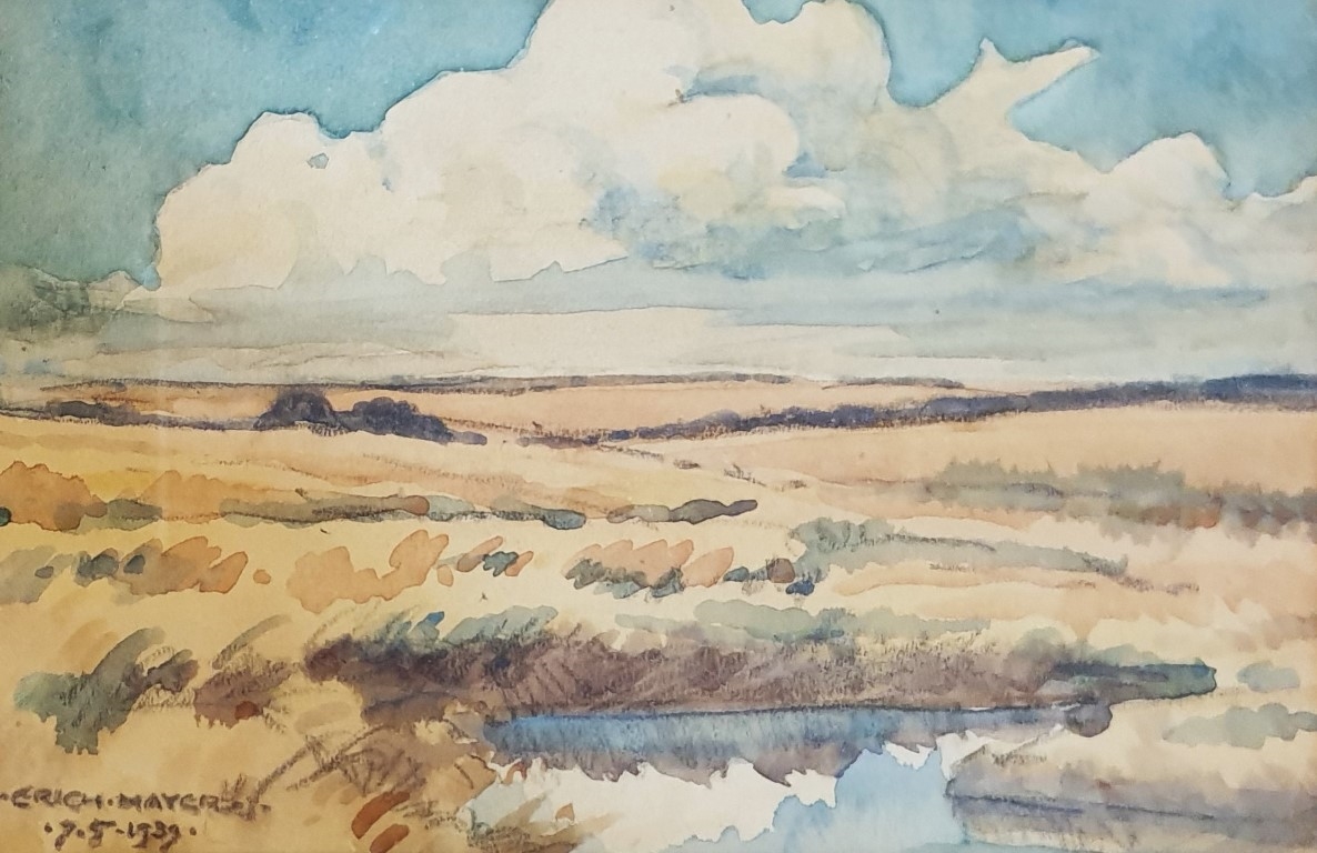 Erich Mayer | Dam by Rondebosch | MutualArt