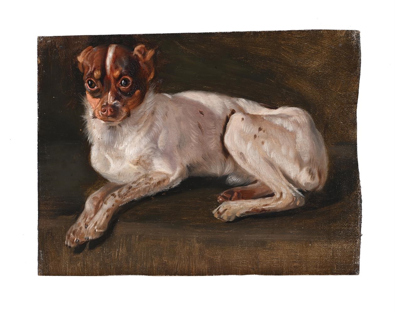 Edwin Landseer | STUDY OF A HOUNDLET | MutualArt