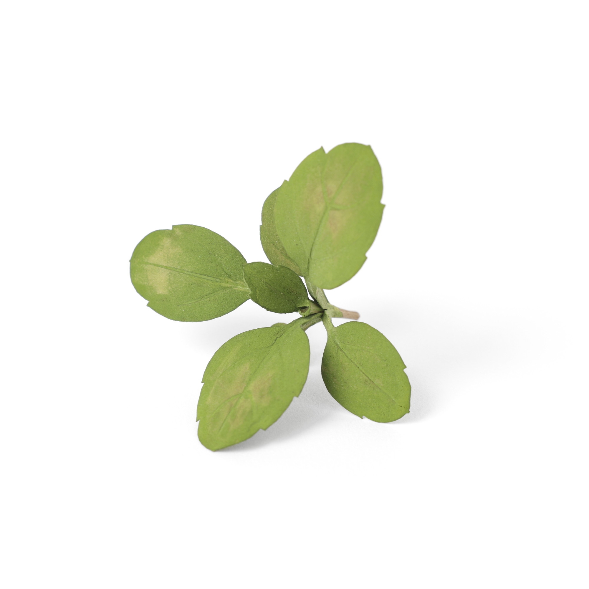 Yoshihiro Suda | GRASS (2011) | MutualArt