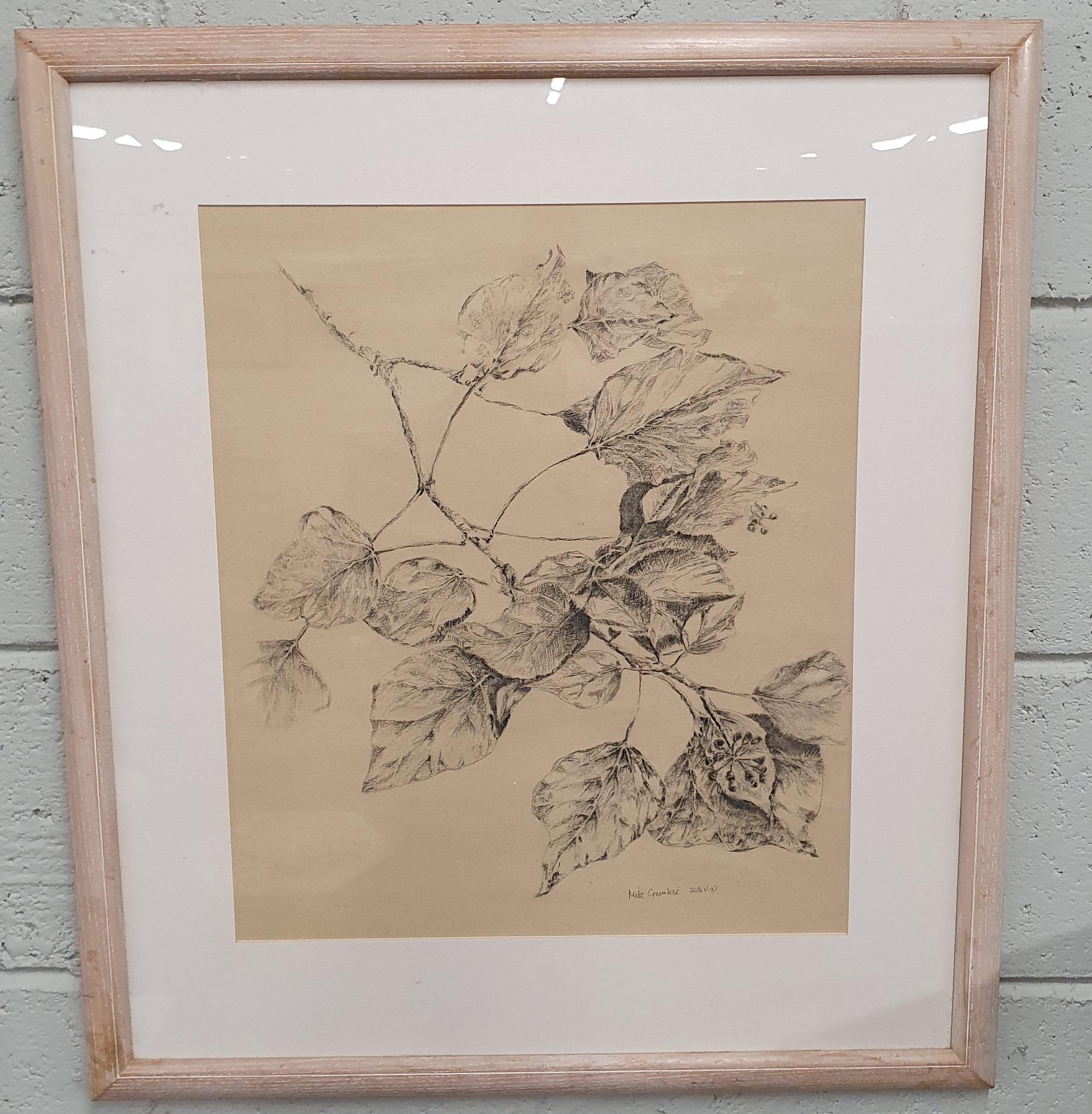 Mike Crumbie | Mike Crumbie. A pencil sketch of a branch signed in the ...