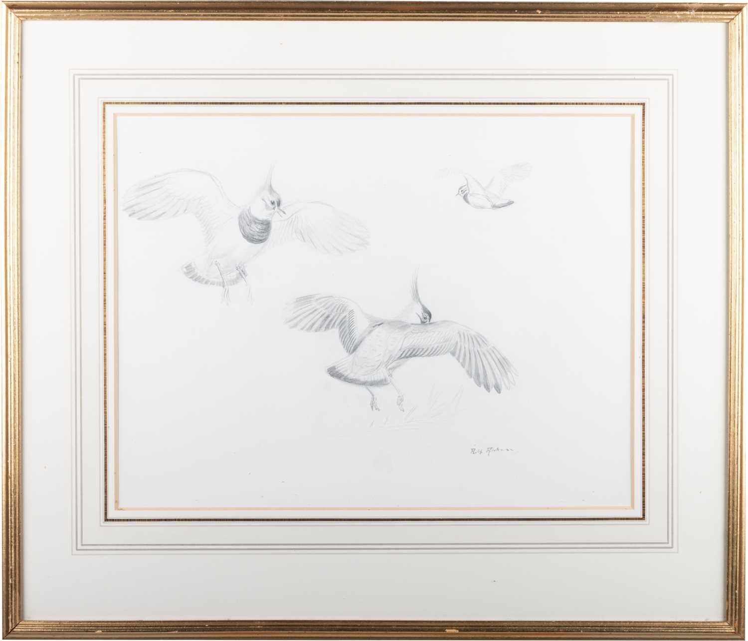 Philip Rickman | PHILIP RICKMAN (1891-1982) LAPWINGS IN FLIGHT | MutualArt