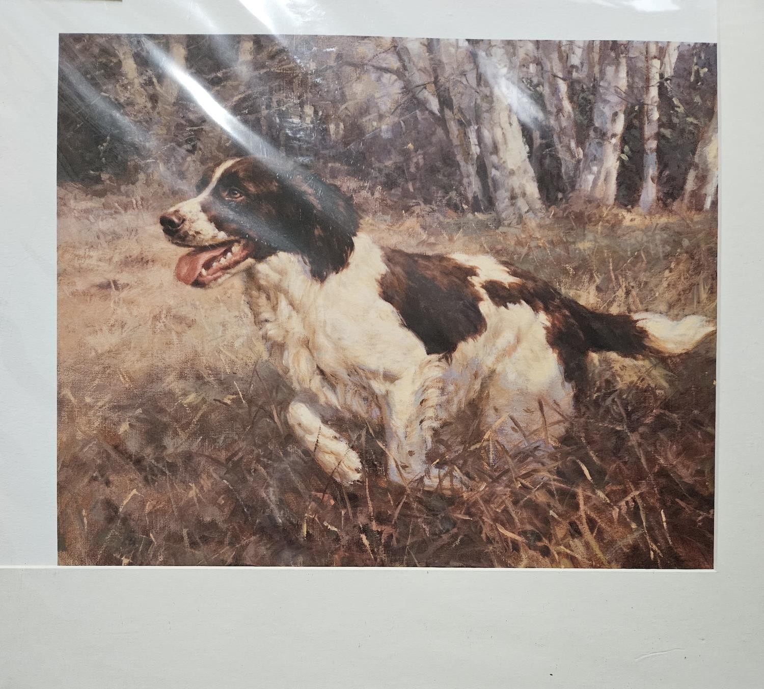 John Trickett | Boundless Energy | MutualArt