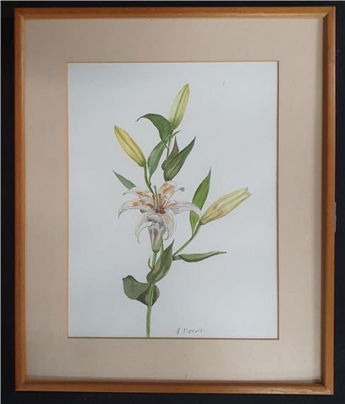 Jean Norris | 1 Artworks at Auction | MutualArt