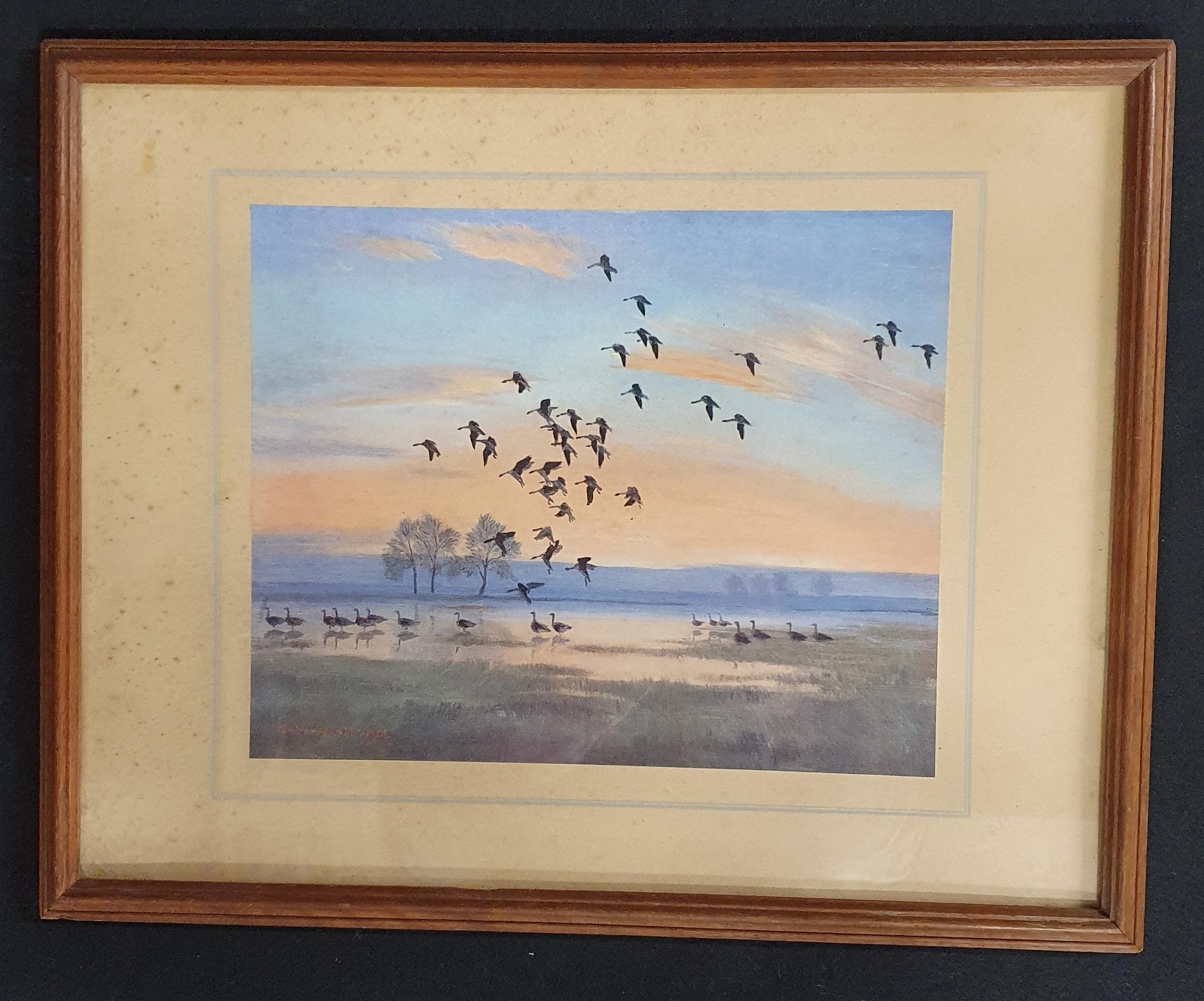 Peter Markham Scott | Two Peter Scott colour Prints. x cm approx ...
