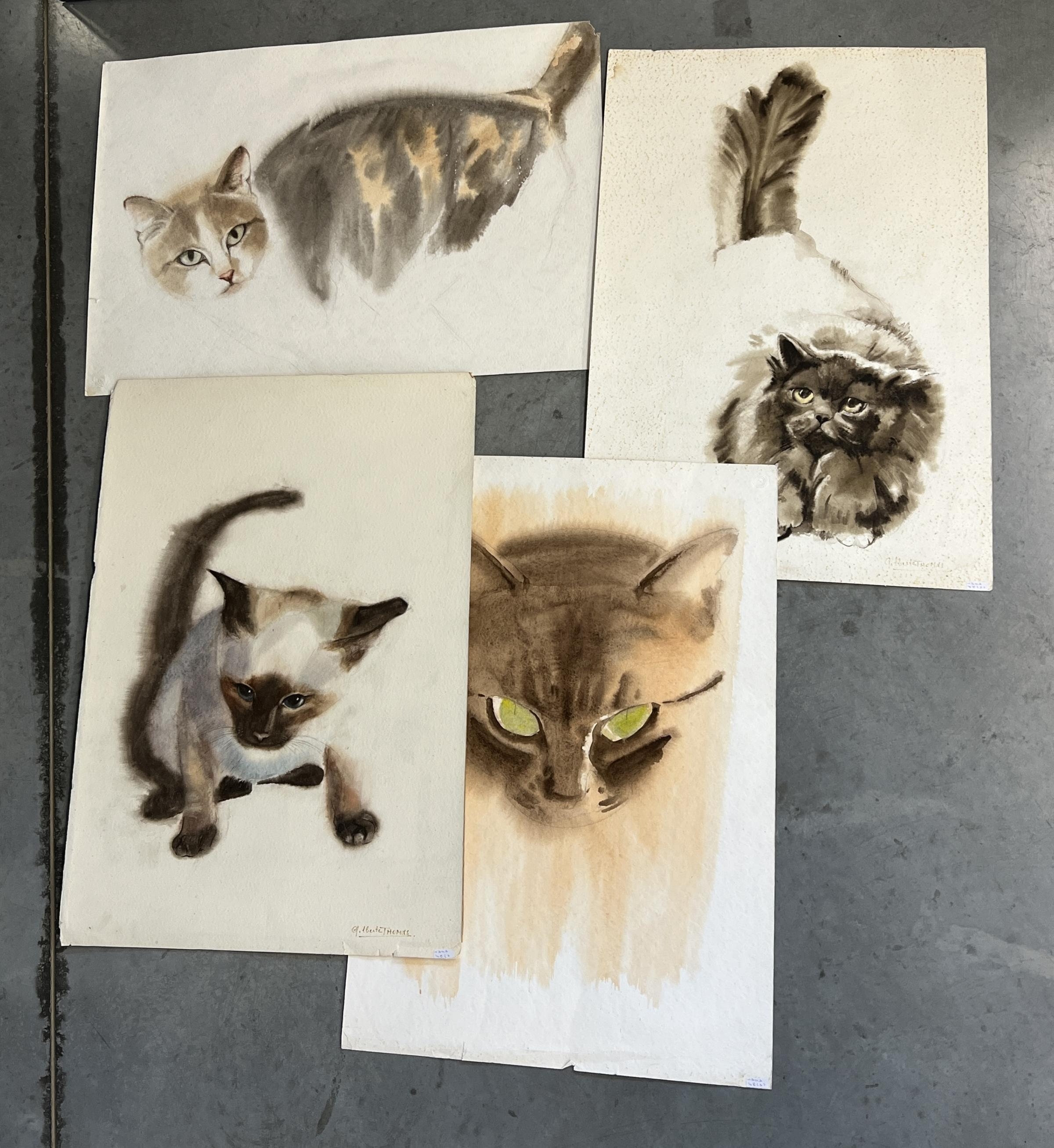 Gilberte Thomas | Chats | MutualArt