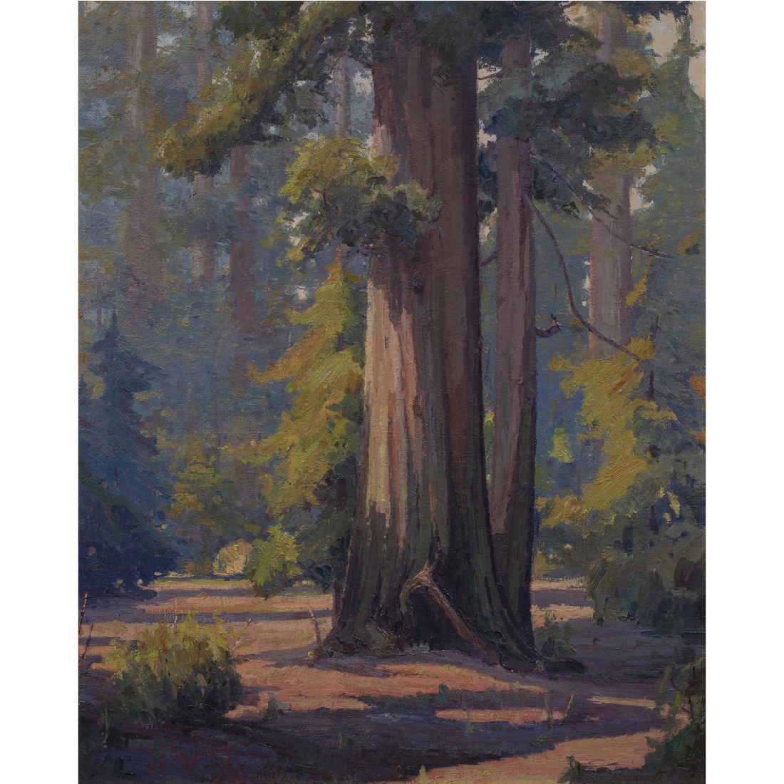 Luther Evans de Joiner | Redwood Grove (1948) | MutualArt