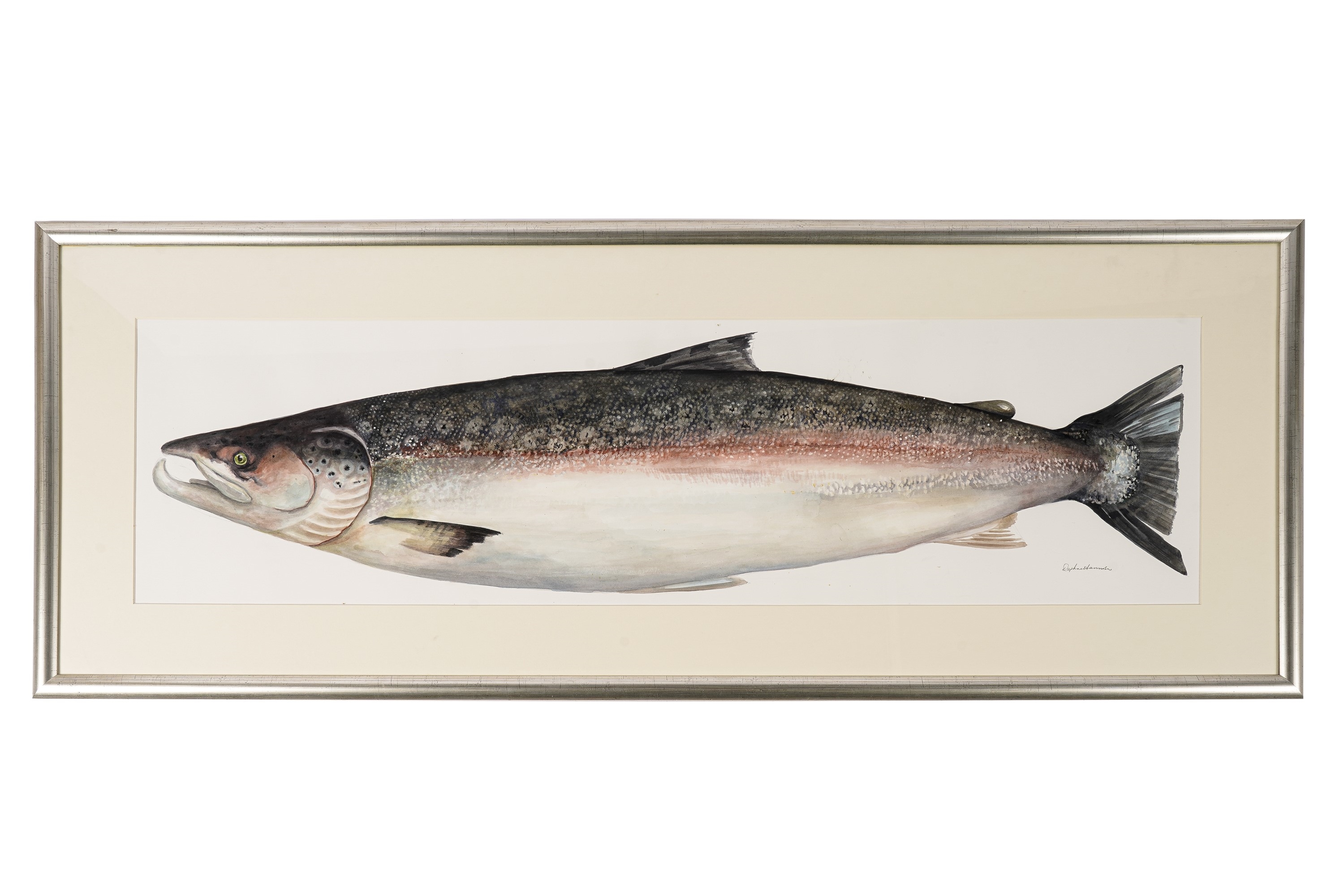 Daphne Harrison | Life Size Painting of a Tyne Salmon (2004) | MutualArt