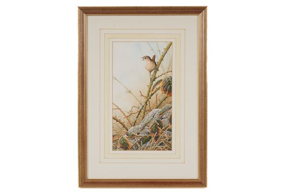 W. Geoff Rollinson | A Wren Sings Amongst Thorns | MutualArt